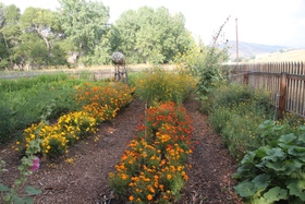 Chatfield Farms Janice Ford Memorial Dye Garden at Denver Botanic Gardens